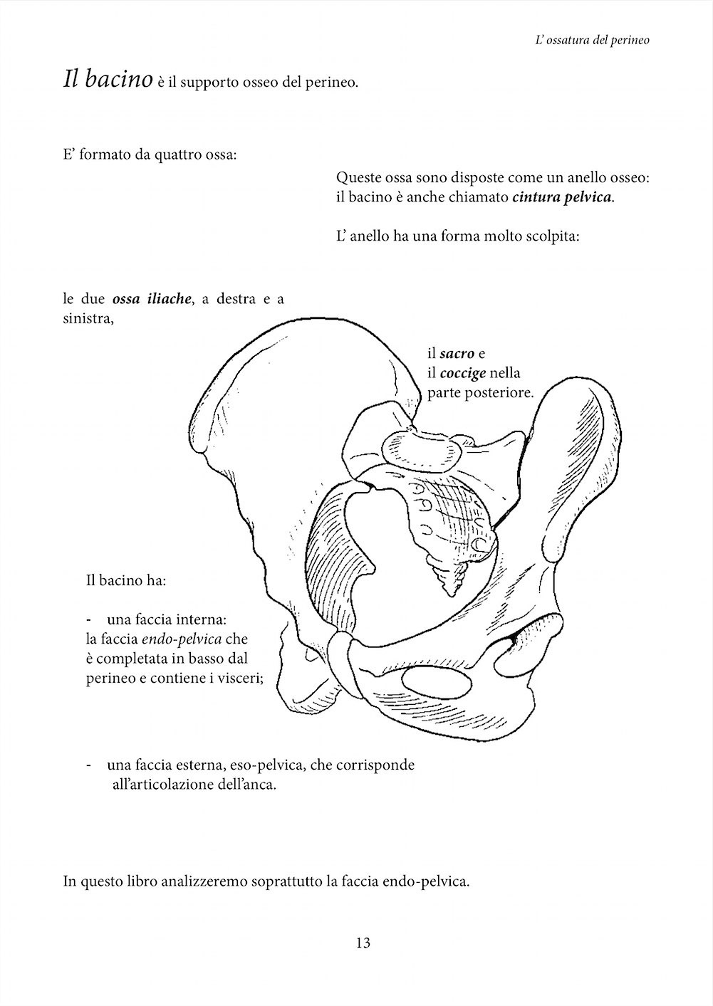 Collana Gesto motorio: Il perineo femminile e il parto
