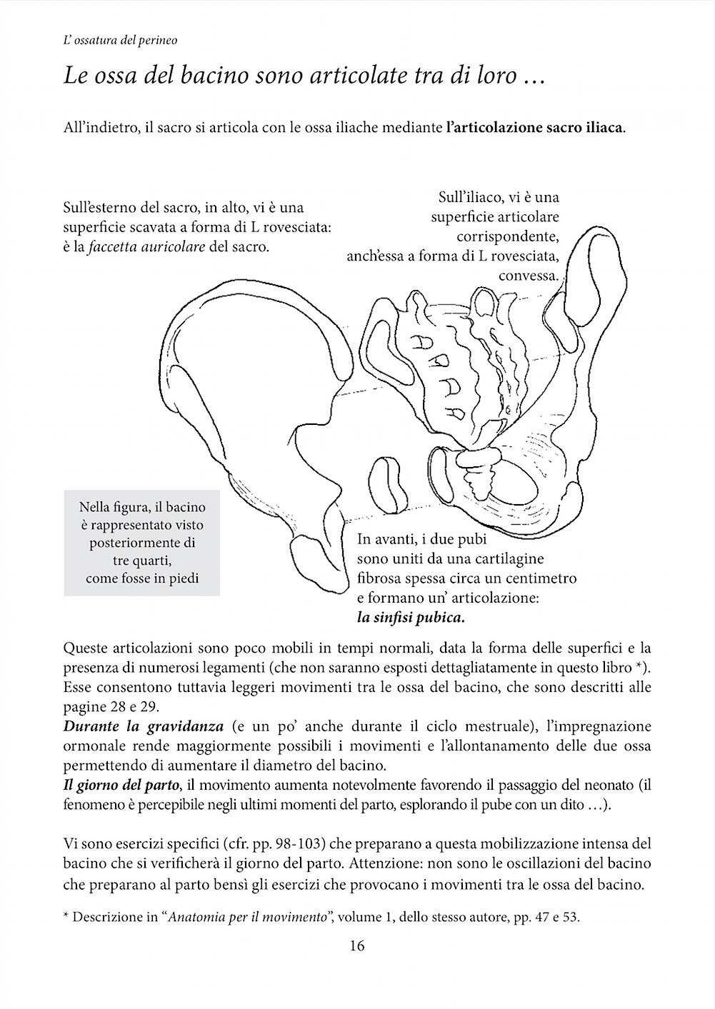 Collana Gesto motorio: Il perineo femminile e il parto